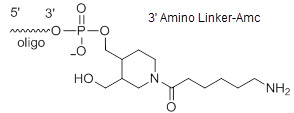 3' Amino Linker AMC